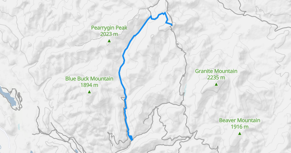 Blue Buck Trail Mountain Biking Trail - Twisp, Washington