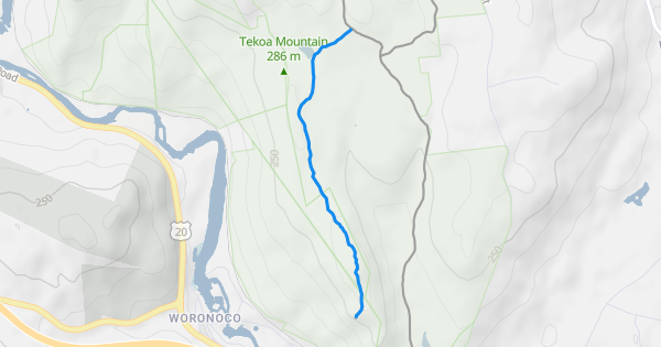 Tekoa Mountain Mountain Biking Trail - Montgomery, MA