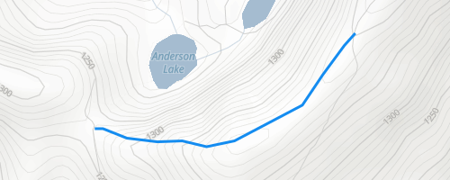 Anderson Lake Trail Hiking Trail - Ashford, Washington