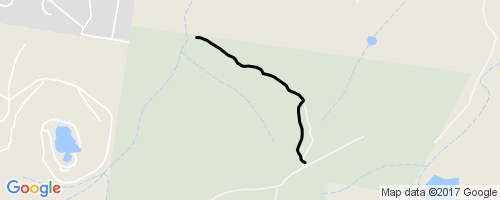 Fall Line Mountain Biking Trail - Dromana | Trailforks