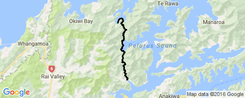 Nydia Track Mountain Bike Trail - South Island