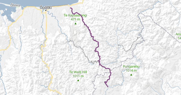 Motu Rd Mountain Biking Trail - Motu Trails, Opotiki