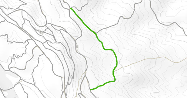 Martin Spring Multi Trail - Angwin, California