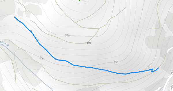 Bergstein Trail Mountain Biking Trail - | Trailforks