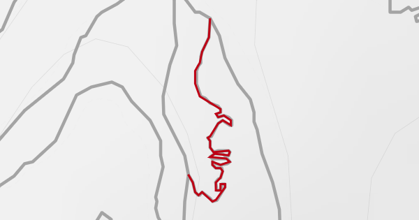 Convoluted Mountain Biking Trail - Killington, Vermont
