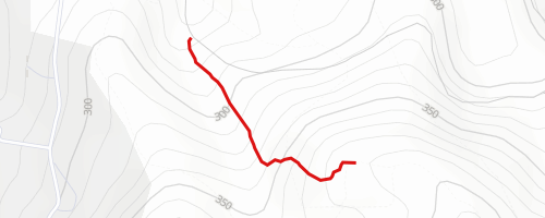 Macc Forest DH Main Line Mountain Biking Trail - Macclesfield