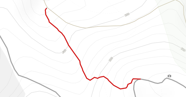 Macc Forest DH Main Line Mountain Biking Trail - Macclesfield