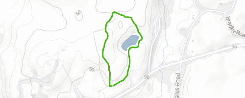 Pine Tree White Loop Hiking Trail - Boothbay Harbor, ME