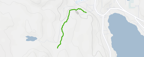 Dickerson Trail Hiking Trail - Bremerton, Washington