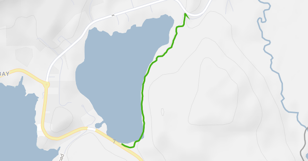 Auke Lake Mountain Biking Trail - Juneau, AK