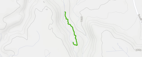 Cherry Creek (Natural) Multi Trail - Franktown, Colorado