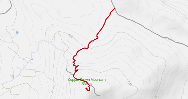 Copple Crown Hiking Trail - New Durham, New Hampshire