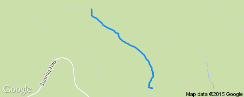 Chico Ravine Trail Mountain Biking Trail - Mount Laguna