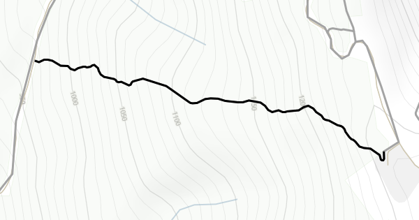 Rockasaurus Mountain Biking Trail - Quesnel, BC