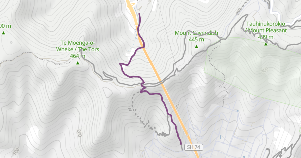 Bridle Path Multi Trail - Christchurch | Trailforks