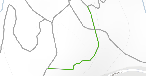 Unmarked Double Track Mountain Biking Trail - Wayne