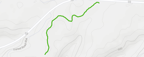 Morrison XC ski trail Multi Trail - Bradford, PA