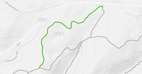 Morrison XC ski trail Multi Trail - Warren, Pennsylvania