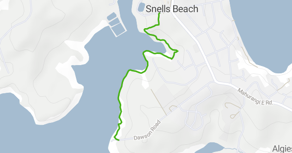 Te Whau River Walkway Mountain Biking Trail