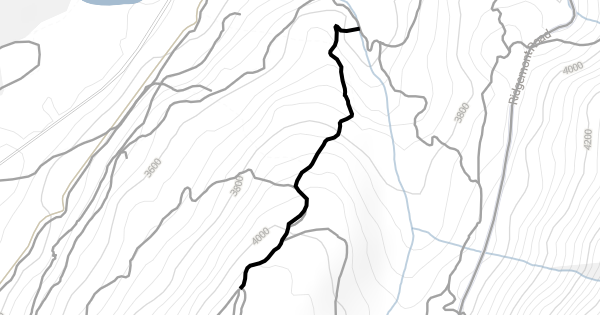 Deadfall Downhill Mountain Biking Trail - Fernie, BC