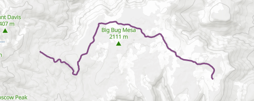 Big Bug Mesa Multi Trail - Prescott, Arizona