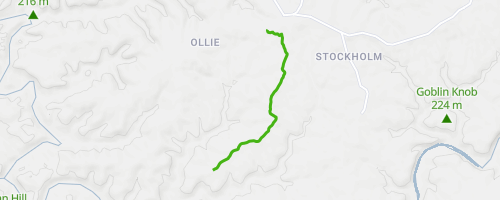 Collie Ridge Trail Hiking Trail - Brownsville, Kentucky