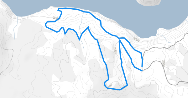 Elk Rim Loop 3 Multi Trail - Baynes Lake, BC