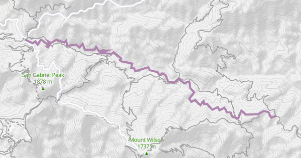 Rincon Red Box Fire Road Multi Trail - Pasadena, CA