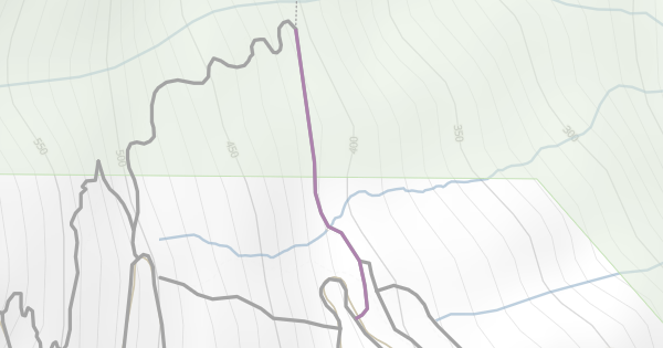 Cedar Tree Trail Multi Trail - North Vancouver, BC