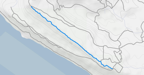 Outer Ridge Mountain Biking Trail - Hornby Island, BC