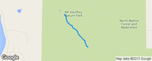 Mr Toad's Wild Ride Mountain Biking Trail - Hornby Island