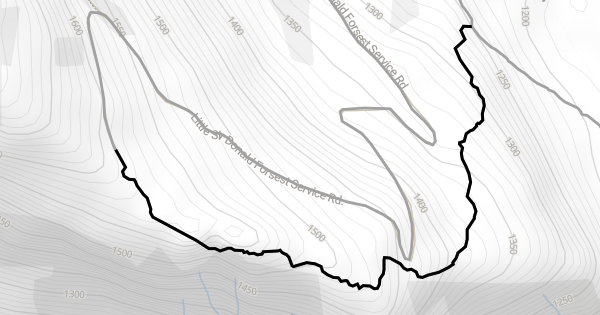 LSD Mountain Biking Trail - Golden, British Columbia