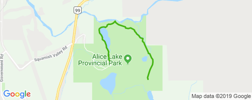 Four Lakes Mountain Biking Trail - Squamish, BC