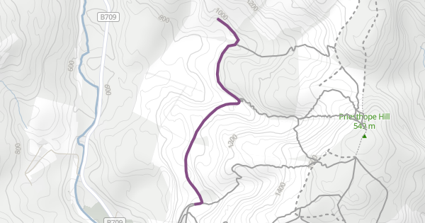 Wolves Forest Road Multi Trail - Innerleithen