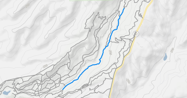 Annie Bidwell Trail Multi Trail - Chico, California