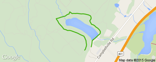 Red Oak Trail (Bruce Trail) Multi Trail - Milton, Ontario