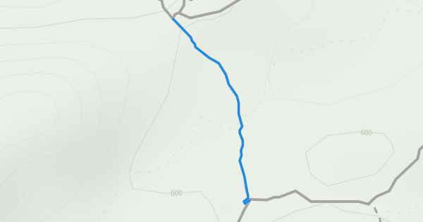 Mormon (Mormon Loop to National) Multi Trail - Phoenix