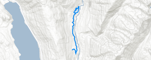 Telegraph Trail Mountain Biking Trail - New Denver