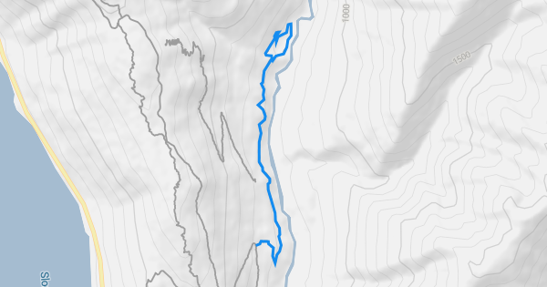 Telegraph Trail Mountain Biking Trail - New Denver