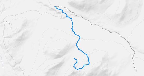 Dominion Creek Mountain Biking Trail - Atlin, BC