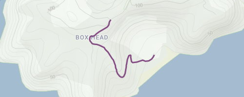 Tallow Beach Firetrail Mountain Biking Trail - Terrigal