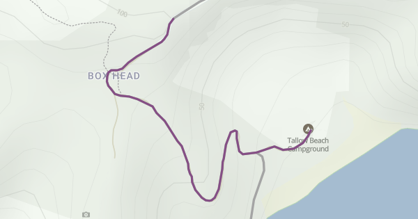 Tallow Beach Firetrail Mountain Biking Trail - Terrigal