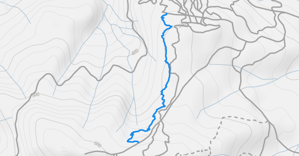 Upper Uproot (Climb Trail) Mountain Biking Trail - Port Angeles