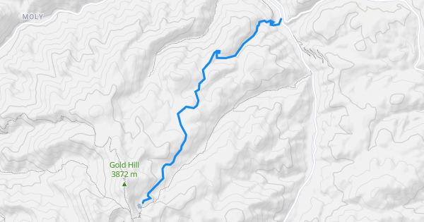 Goose Lake ATVing/Offroading Trail - Red River, NM