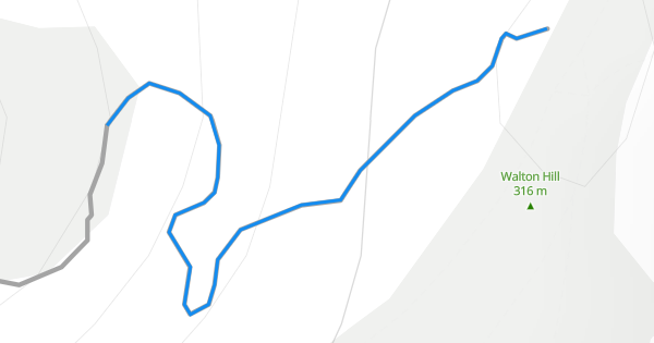 Walton Woods 1 Mountain Biking Trail - Clent