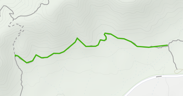 Bursera Canyon Multi Trail - Phoenix, Arizona