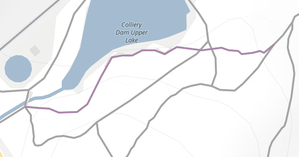 Colliery Dam trail Multi Trail - Nanaimo, BC