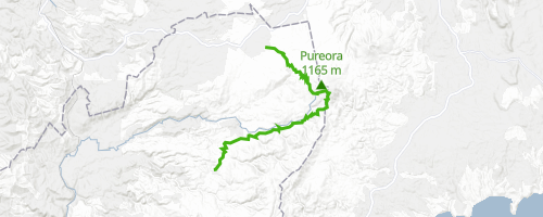 The Timber Trail | Pureora to Piropiro Mountain Biking Trail