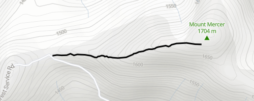 Mt. Mercer Trail Dirtbiking Trail - Chilliwack, BC