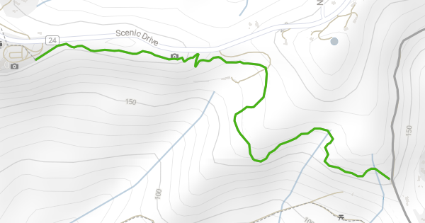 Beveridge Track Multi Trail - Cambridge | Trailforks